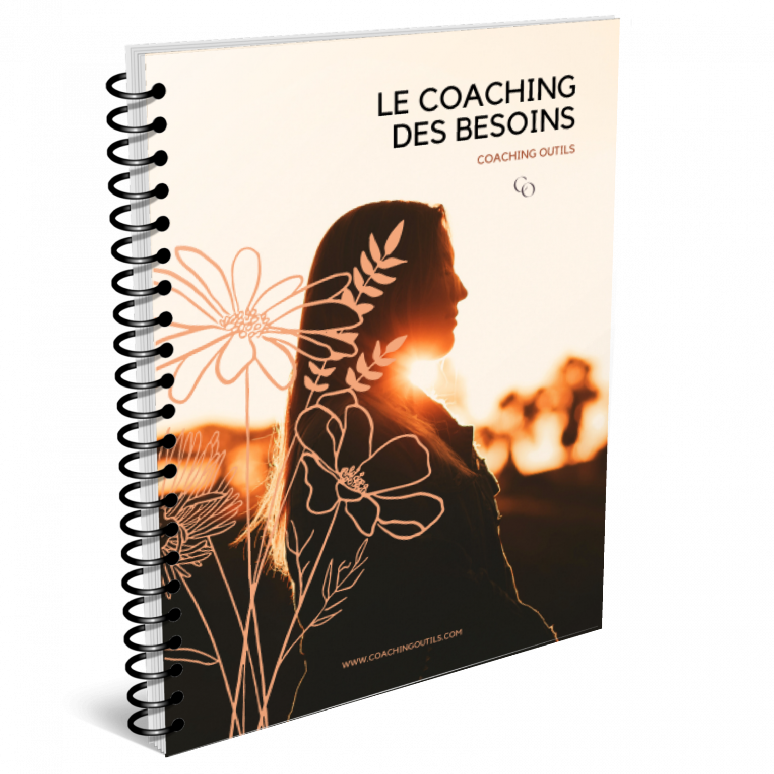 Des Outils De Coaching Formation Coaching - Coaching Outils